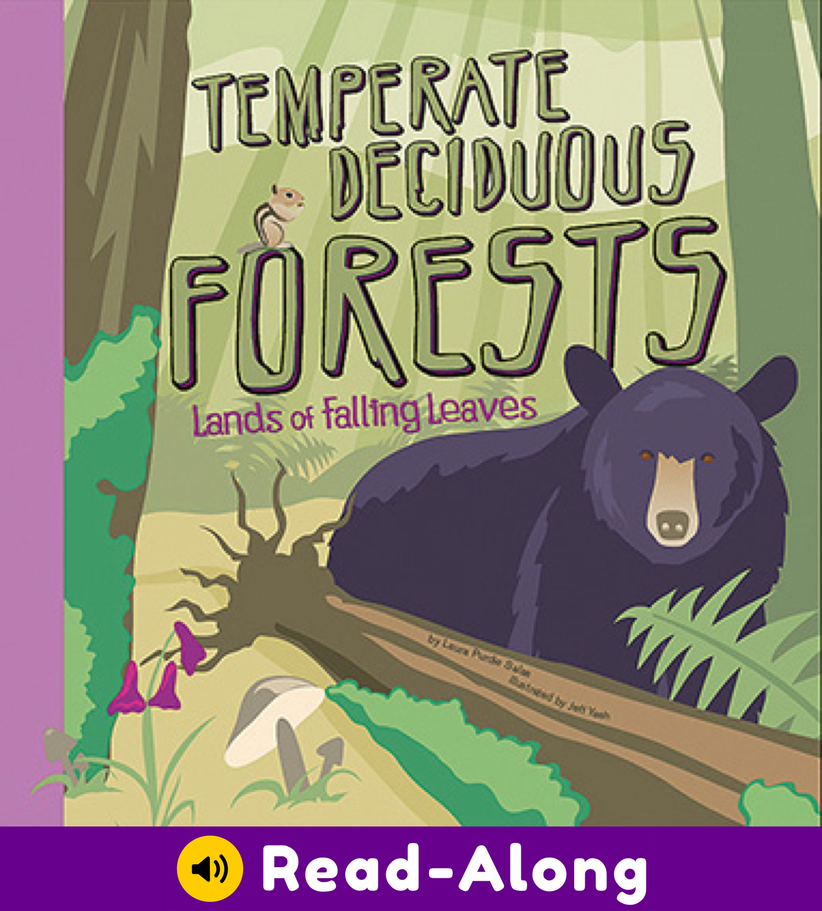 Temperate Deciduous Forest Bear