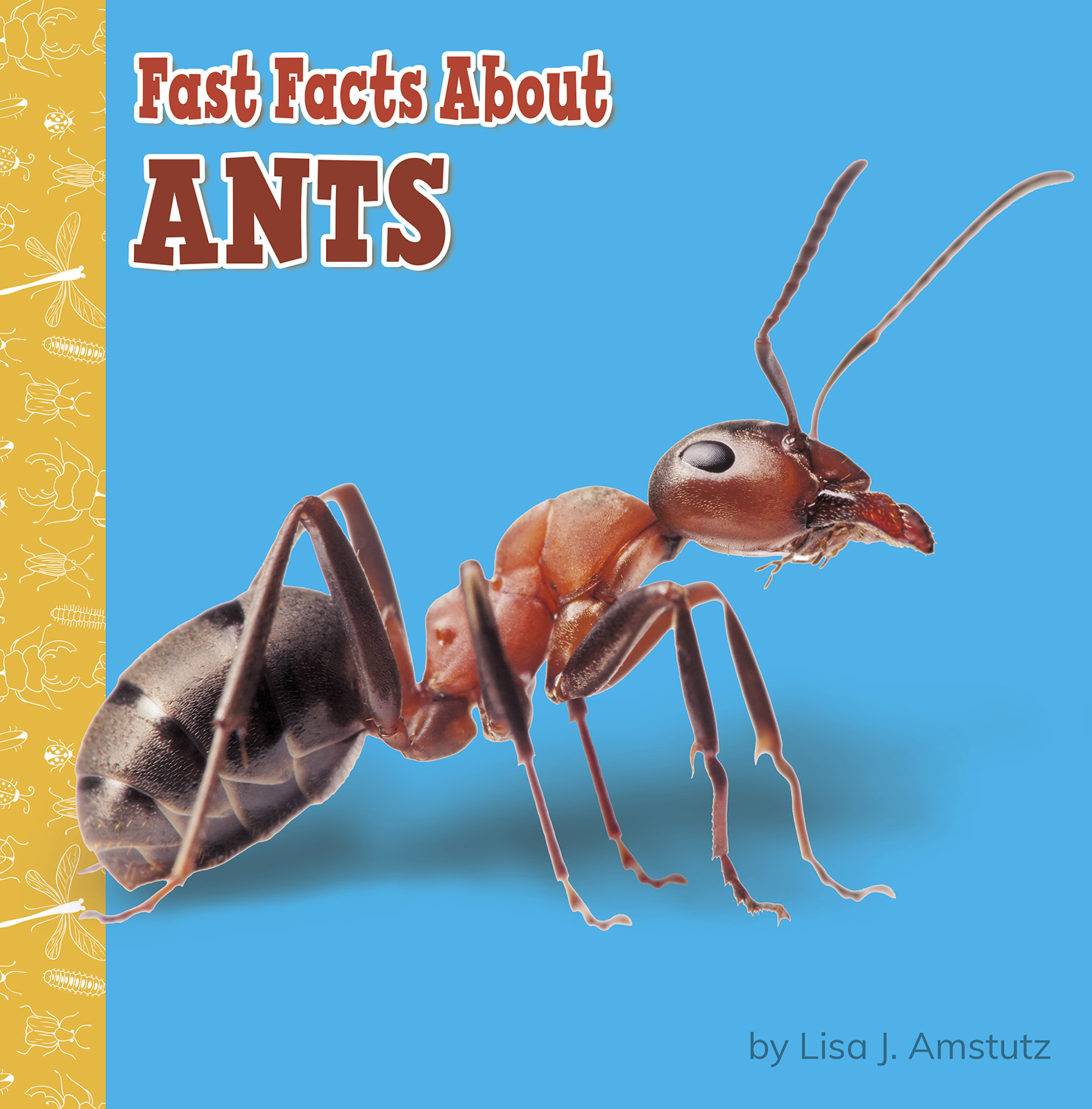Product: Fast Facts About Bugs & Spiders