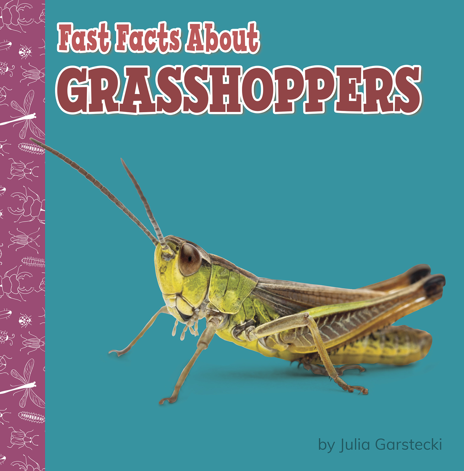 Product: Fast Facts About Bugs & Spiders